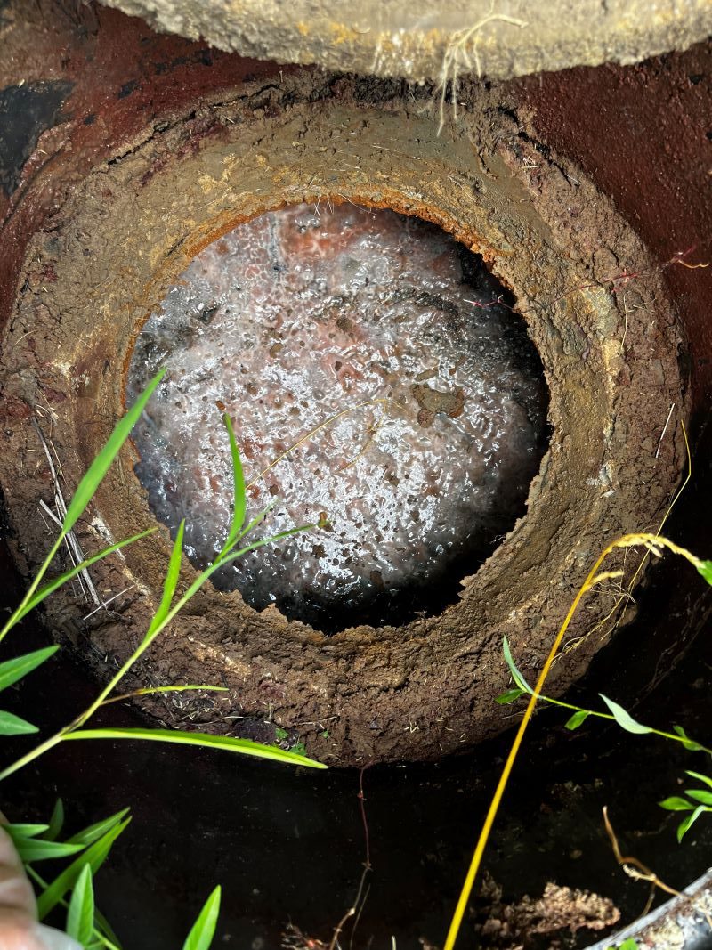 Restorex Septic Solutions | Local Indiana Septic Contractor